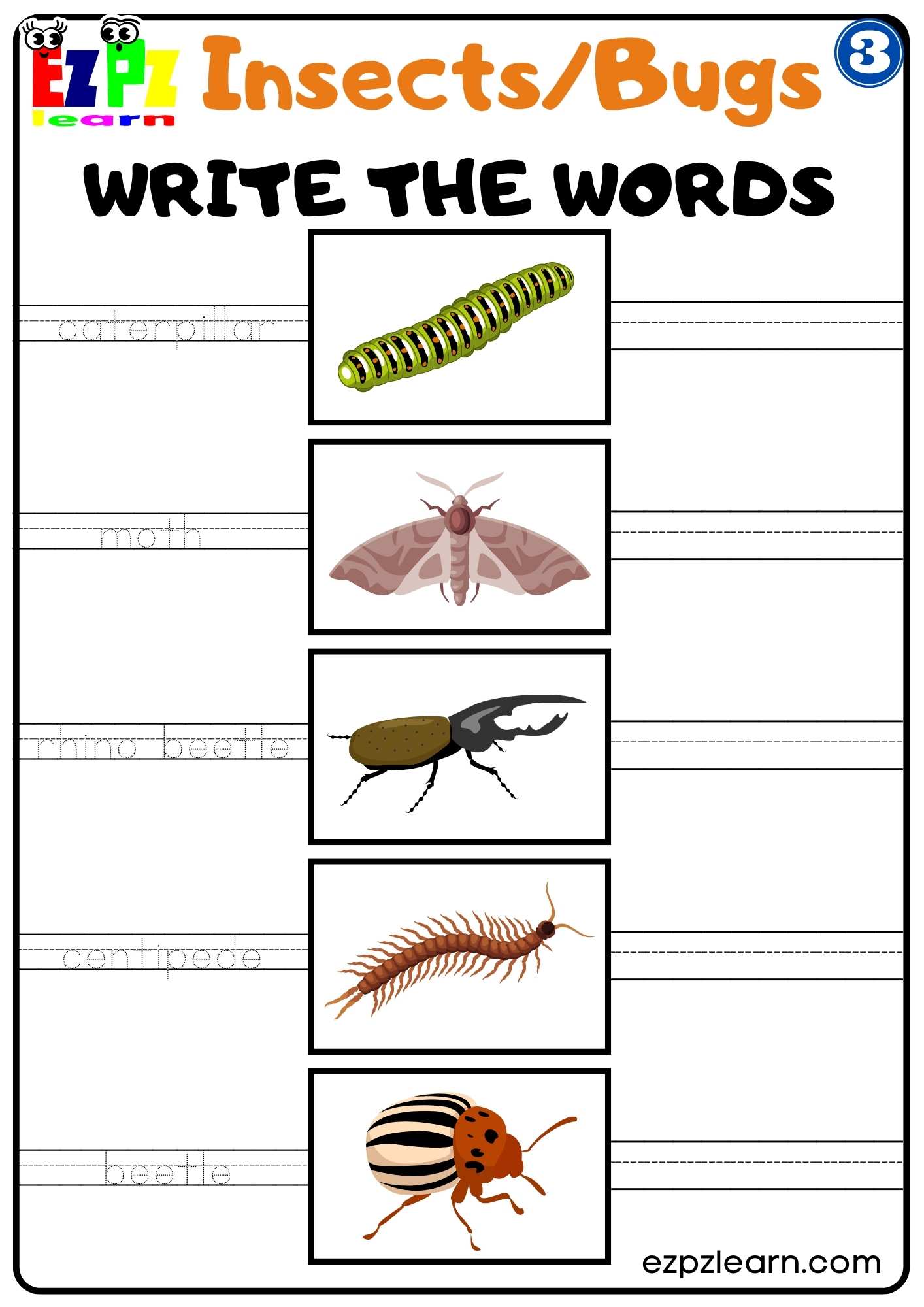 Group 3 Bugs and Insects Write the Words Worksheet PDF Download For Homeschool and ESL Students ...